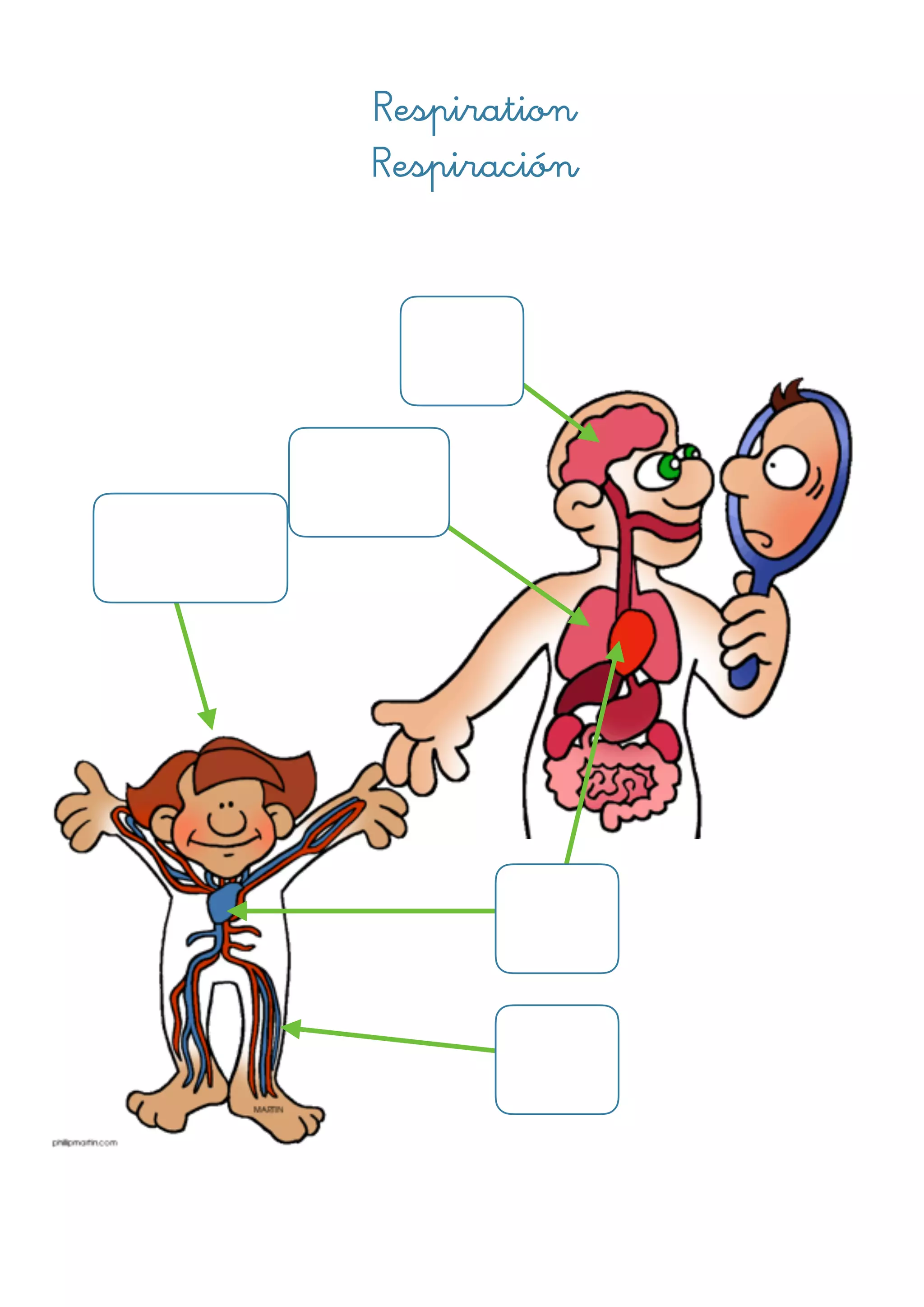 Natural science 2_unit_1_how_my_body_works_worksheet | PDF