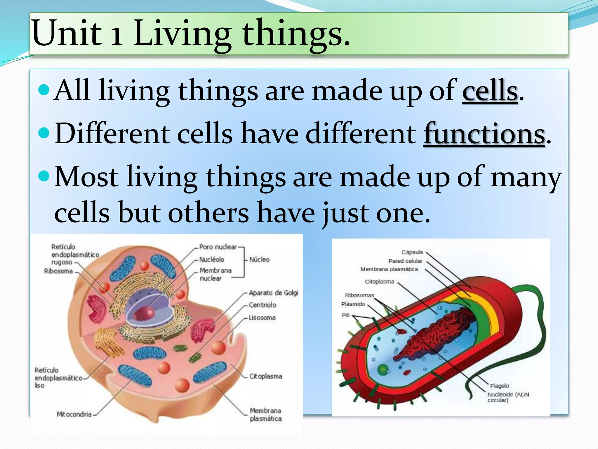 Natural science living things | PPTX