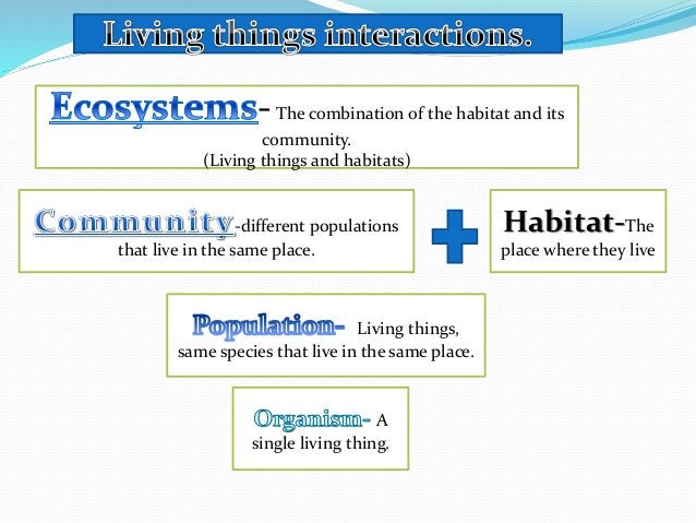 Natural science living things | PPT