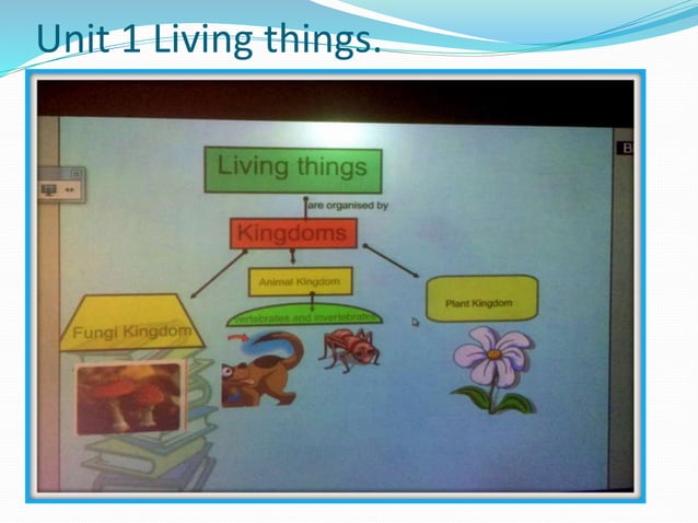 Natural science living things | PPT