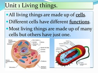 Natural science living things | PPTX