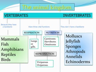 Natural science living things | PPTX