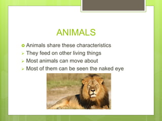 Natural science 4º primaria unit 2 | PPTX