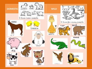 Natural science animals | PPTX