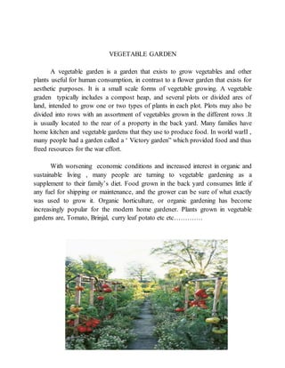 Natural science online assignment | DOCX | Gardening | Home & Garden