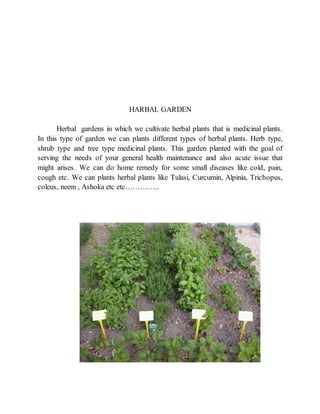 Natural science online assignment | DOCX | Gardening | Home & Garden