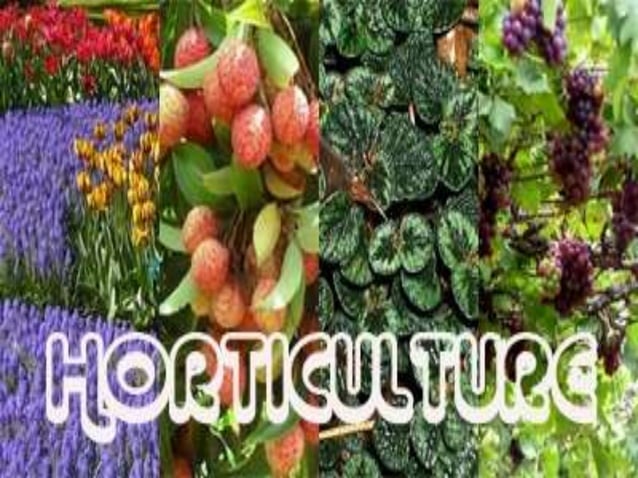 Natural science power point | PPTX