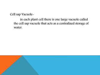 The Cell | PPT