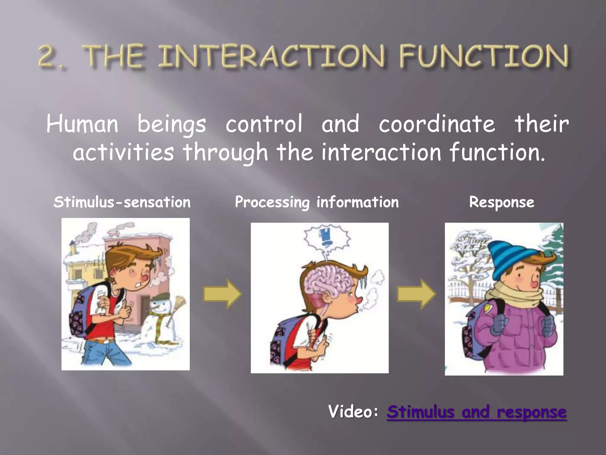 THE HUMAN BODY AND INTERACTION | PPTX