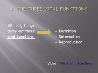 THE HUMAN BODY AND INTERACTION | PPTX | Brain and Nervous System ...