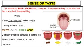 Natural science unit 1 (3) | PPT