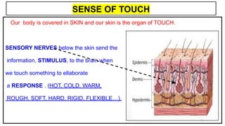 Natural science unit 1 (3) | PPT