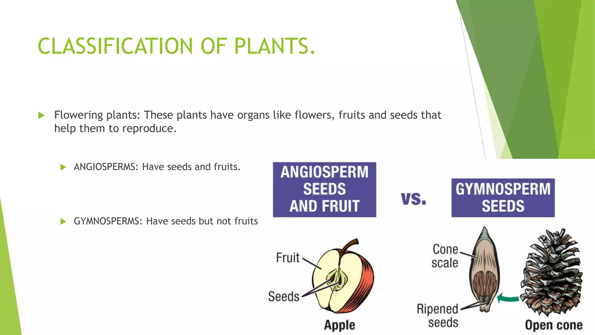 Natural science, unit 1, the plants | PPTX