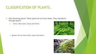 Natural science, unit 1, the plants | PPTX