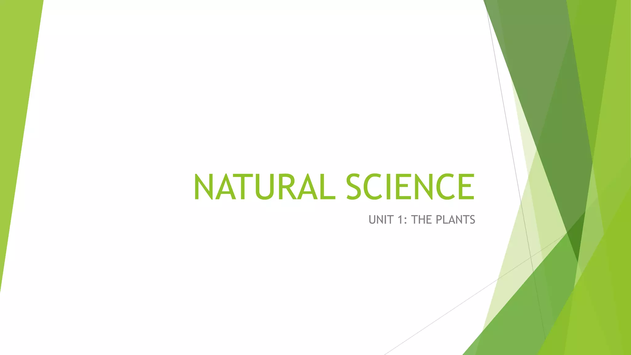 NATURAL SCIENCE, unit 1, the plants.pptx