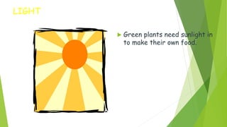 NATURAL SCIENCE, unit 1, the plants.pptx | Gardening | Home & Garden