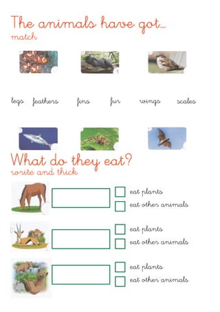 Natural sciencie 1o_unit_3_worksheet | PDF | Birds | Pets