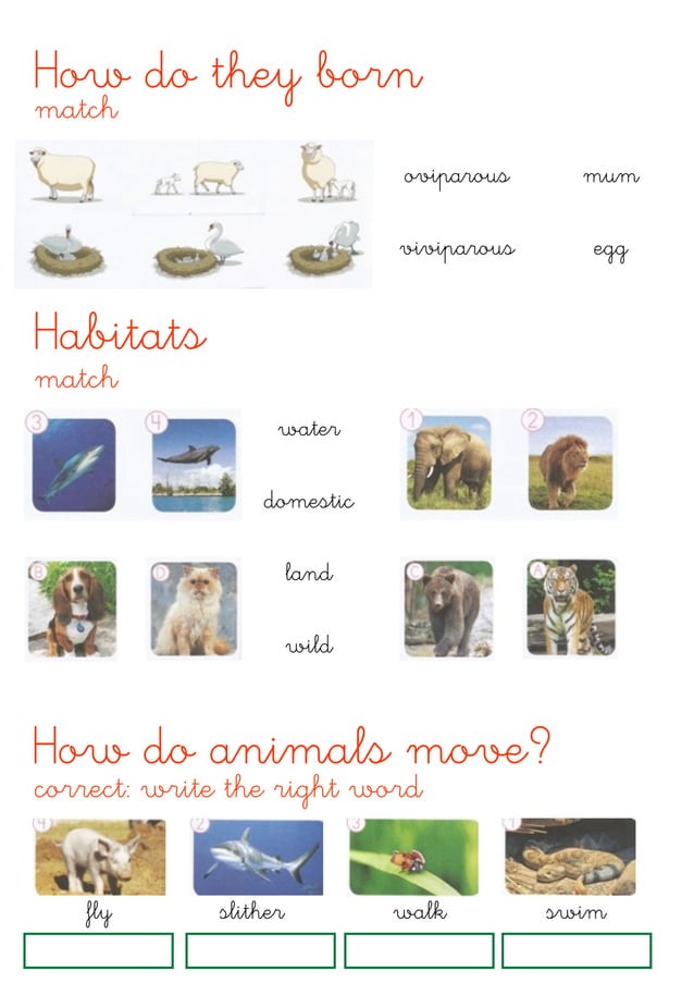 Natural sciencie 1o_unit_3_worksheet | PDF | Birds | Pets