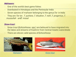 Natural seed Resources of fishes of india .pdf