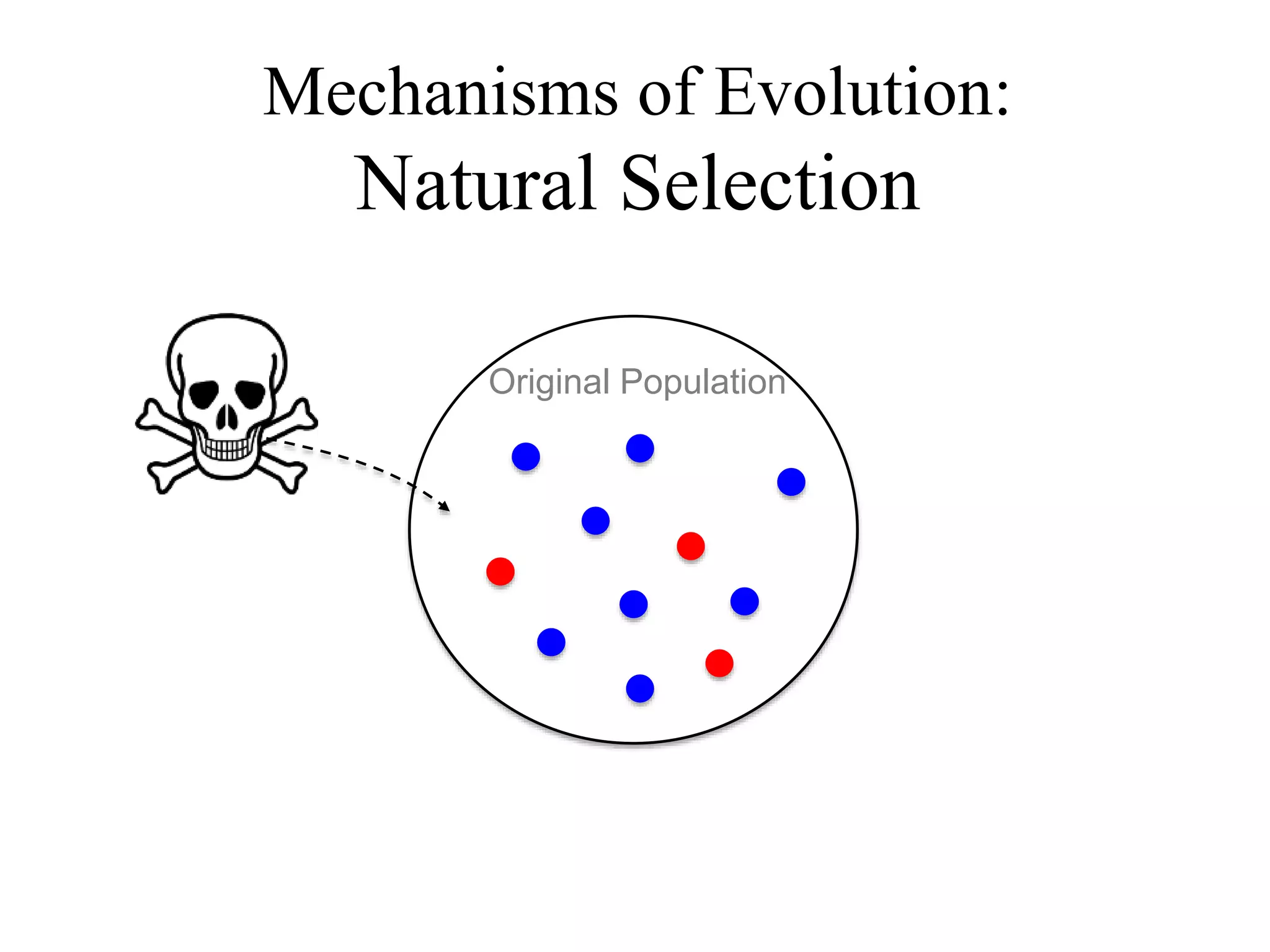 natural_sel.pptx | Genetics | Science