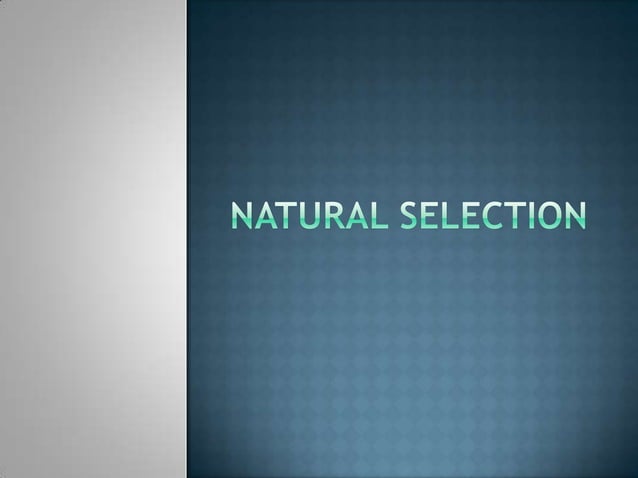 Natural Selection | PPT