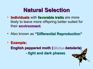 Natural Selection | PPT