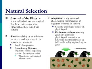 Natural selection | PPT