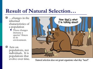 Natural selection | PPT