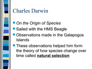 Natural selection | PPT
