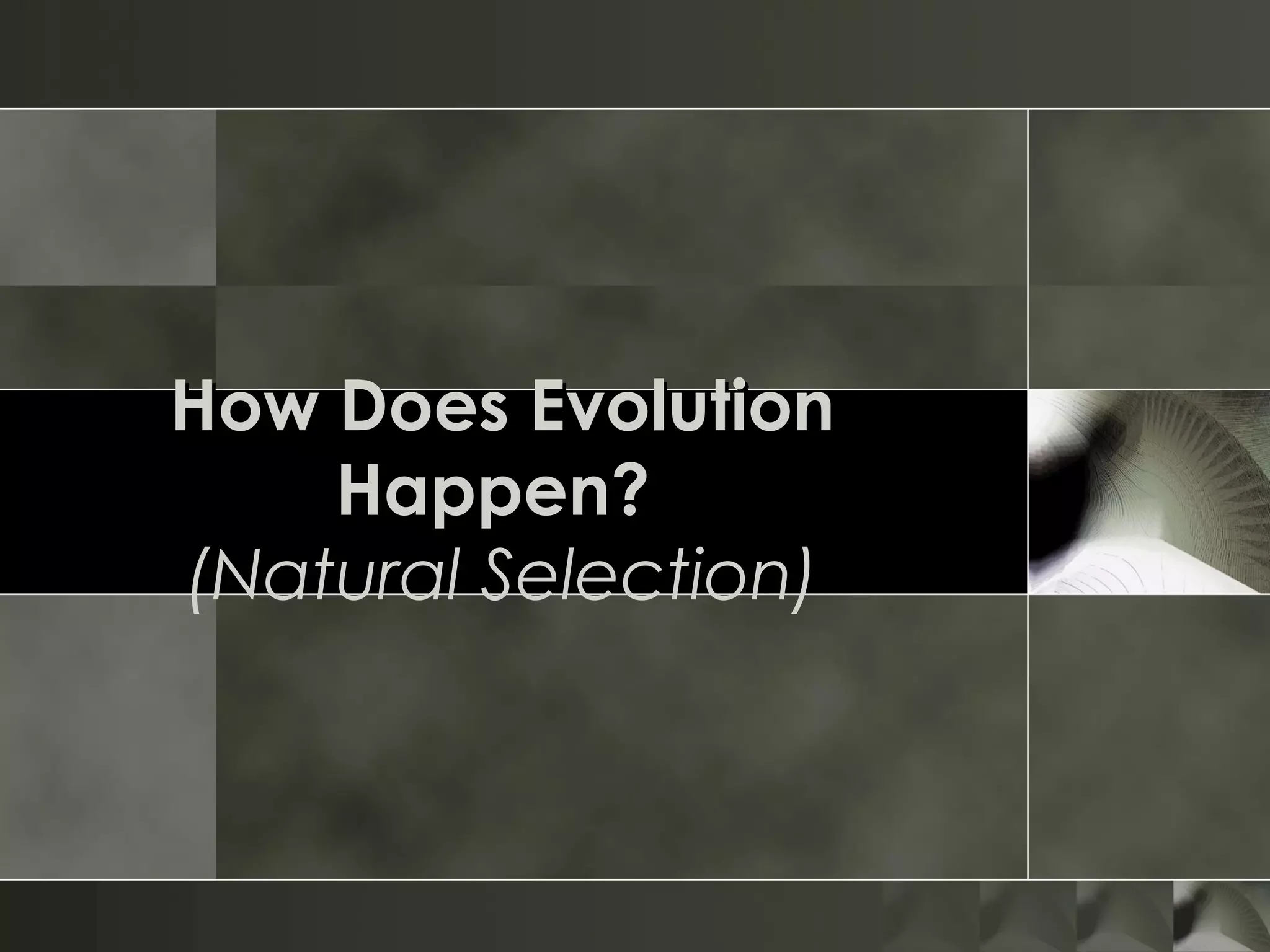 Natural Selection Notes | PPT