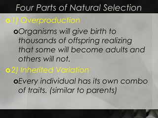 Natural Selection Notes | PPT