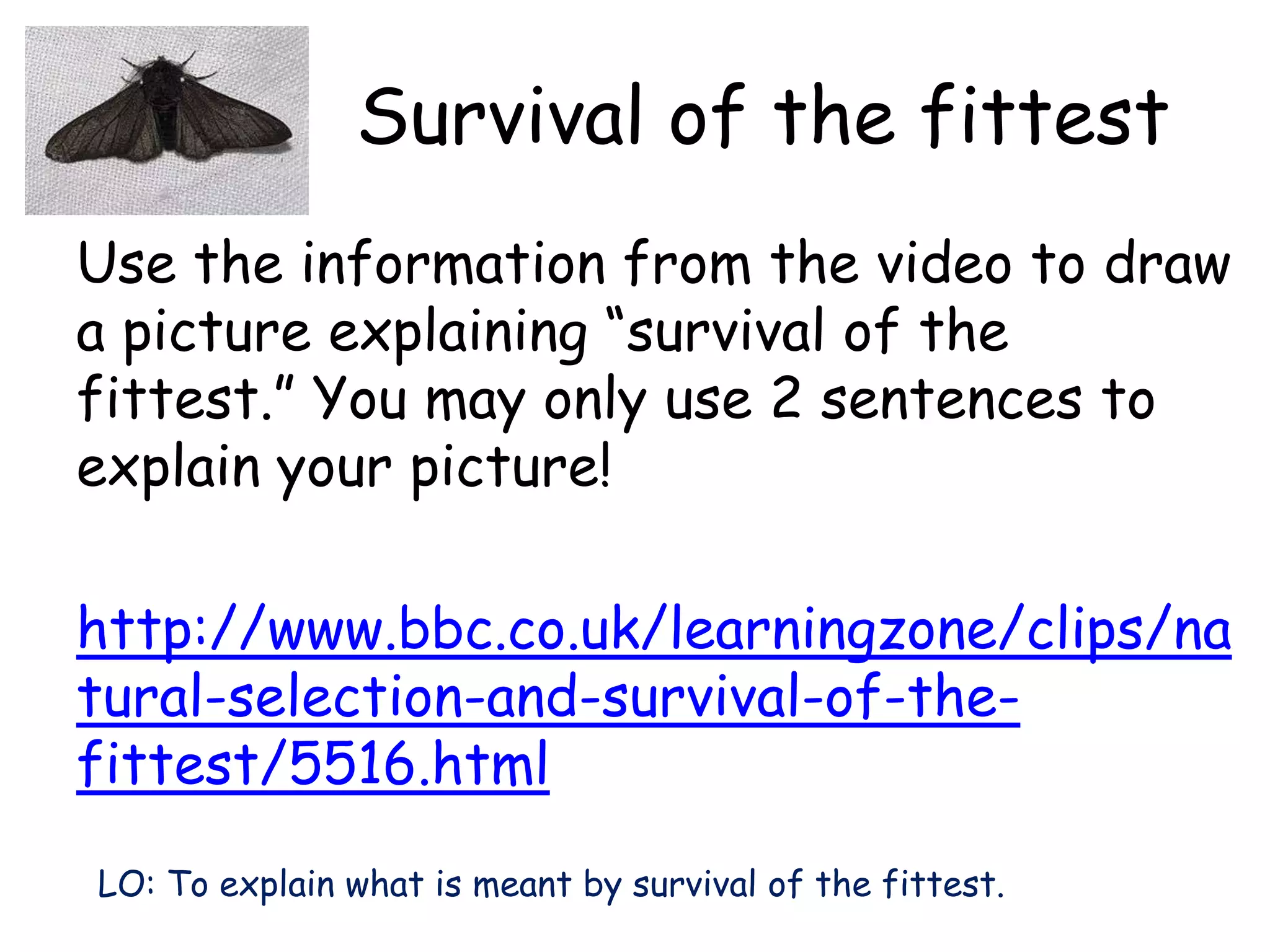 Natural selection | PPTX