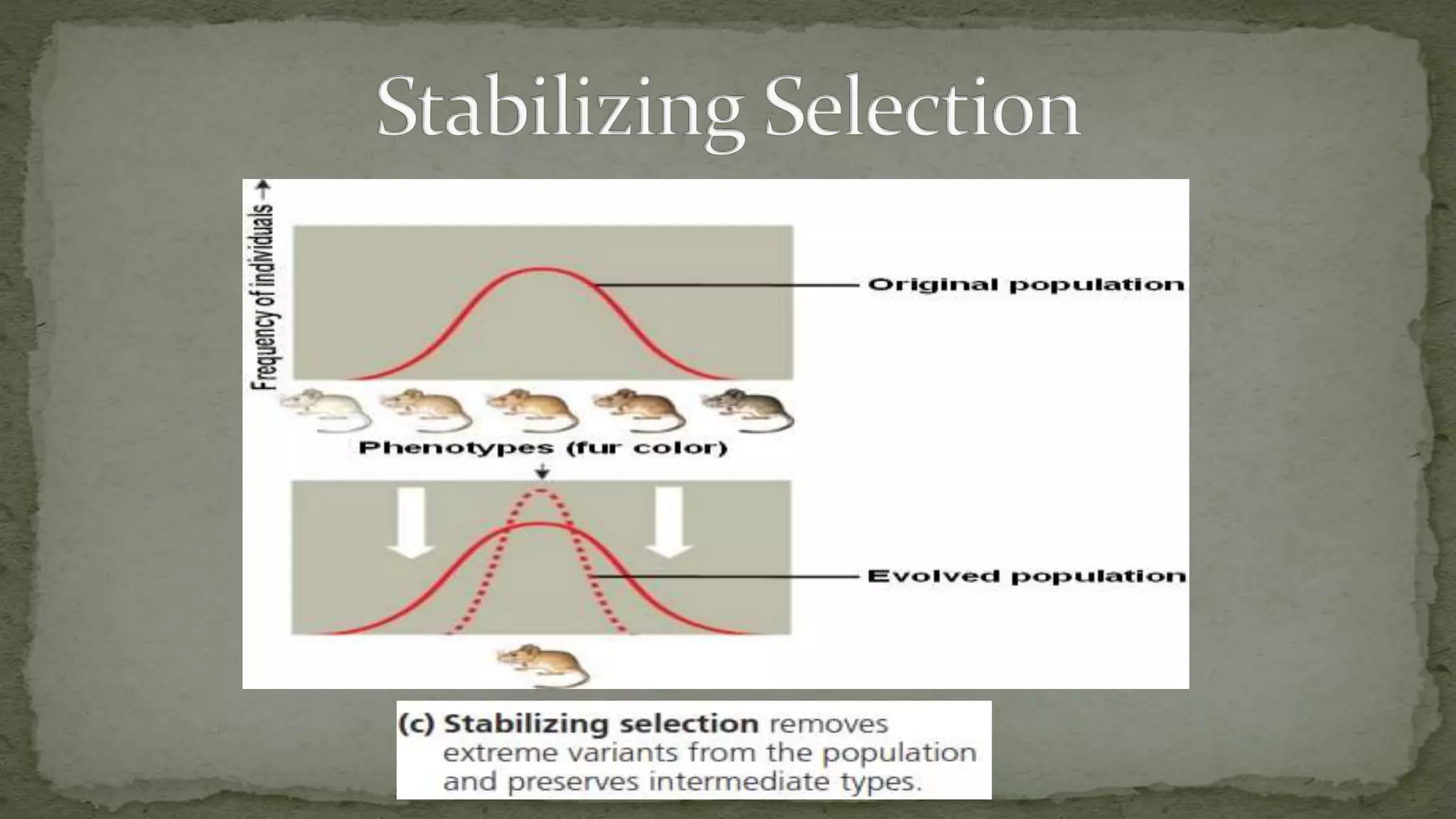 Natural selection | PPTX