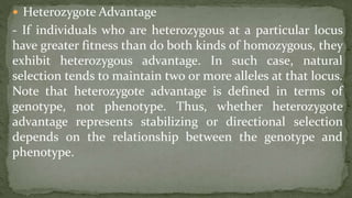 Natural selection | PPT