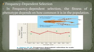 Natural selection | PPT