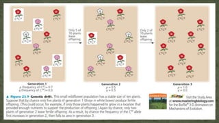 Natural selection | PPTX