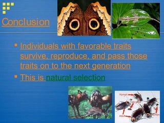 Natural selection - an introduction | PPT | Biological Sciences | Science