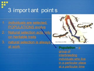 Natural selection - an introduction | PPT | Biological Sciences | Science