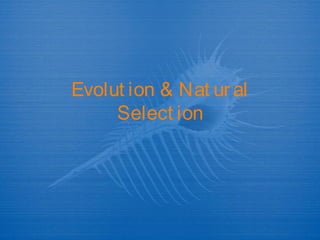 Natural selection - an introduction | PPT | Biological Sciences | Science