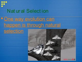 Natural selection - an introduction | PPT | Biological Sciences | Science
