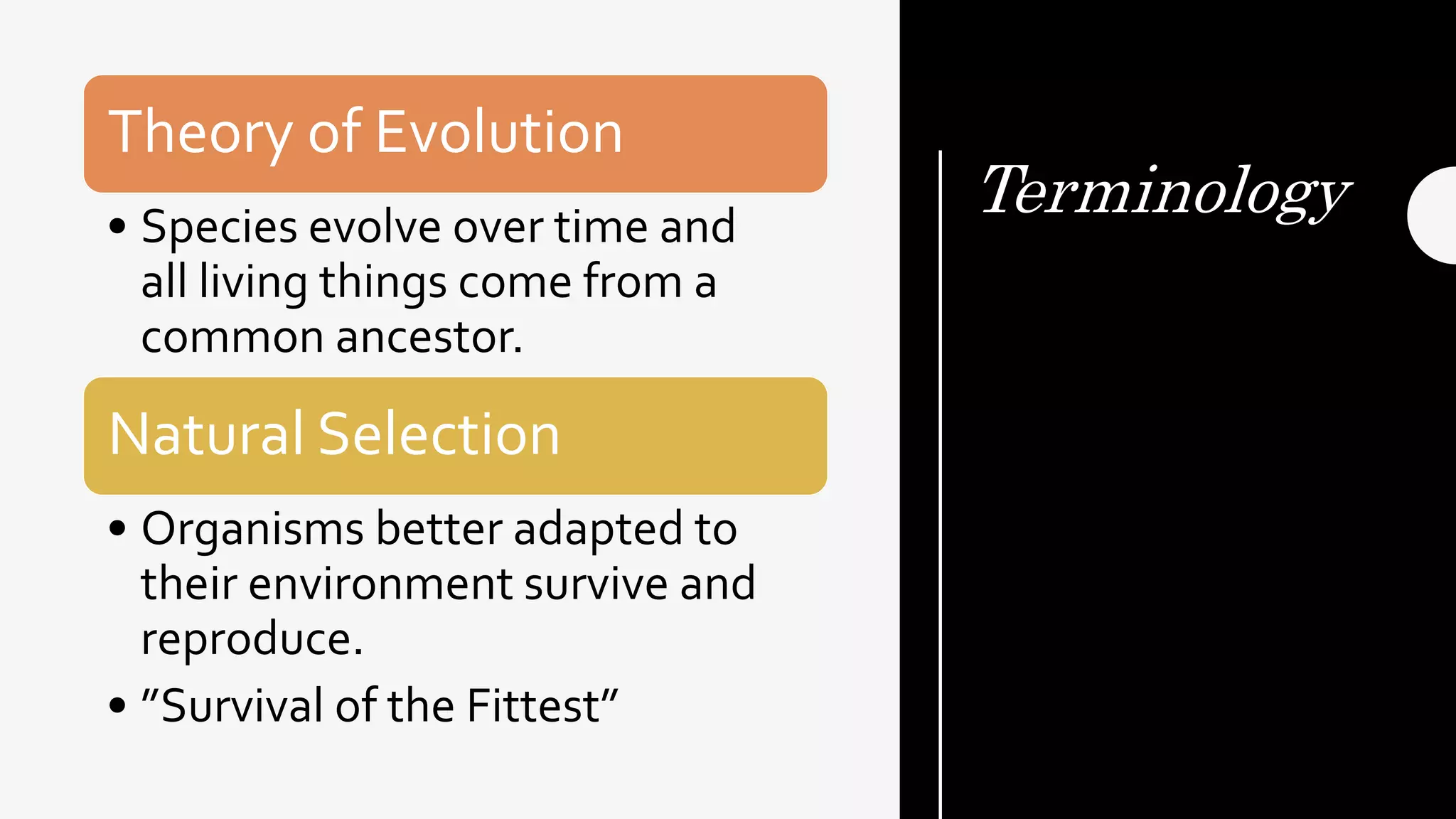 Natural selection | PPT