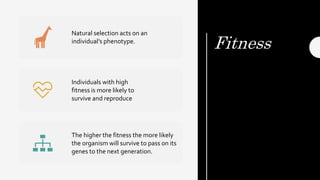 Natural selection | PPT