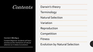 Natural selection | PPT