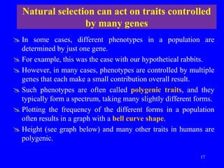 Natural Selection.ppt