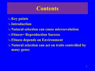 Natural Selection.ppt