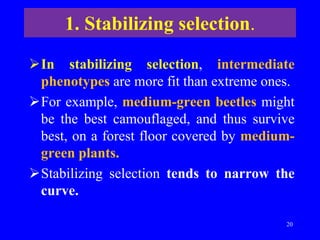 Natural Selection.ppt | Biological Sciences | Science