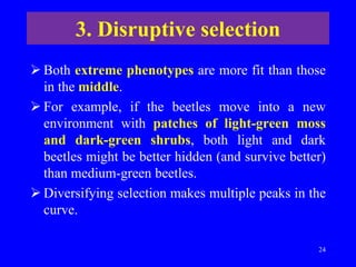 Natural Selection.ppt | Biological Sciences | Science