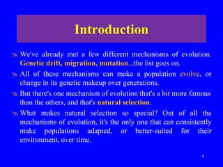 Natural Selection.ppt | Biological Sciences | Science