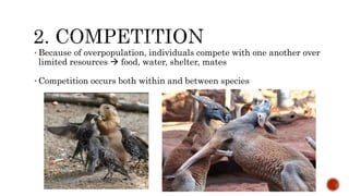 Natural selection | PPTX