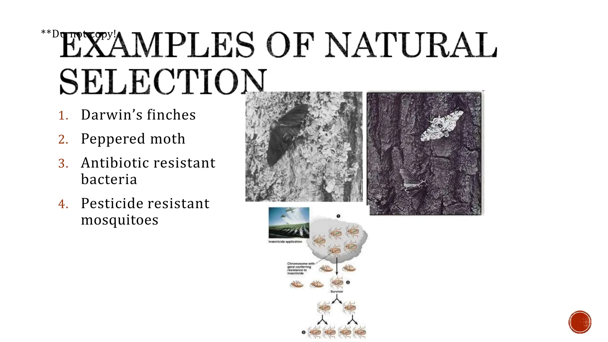 naturalselection2016-160210163545 (1).pptx